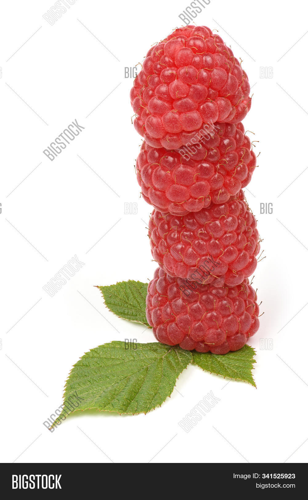 Four Raspberries Image & Photo (Free Trial) | Bigstock