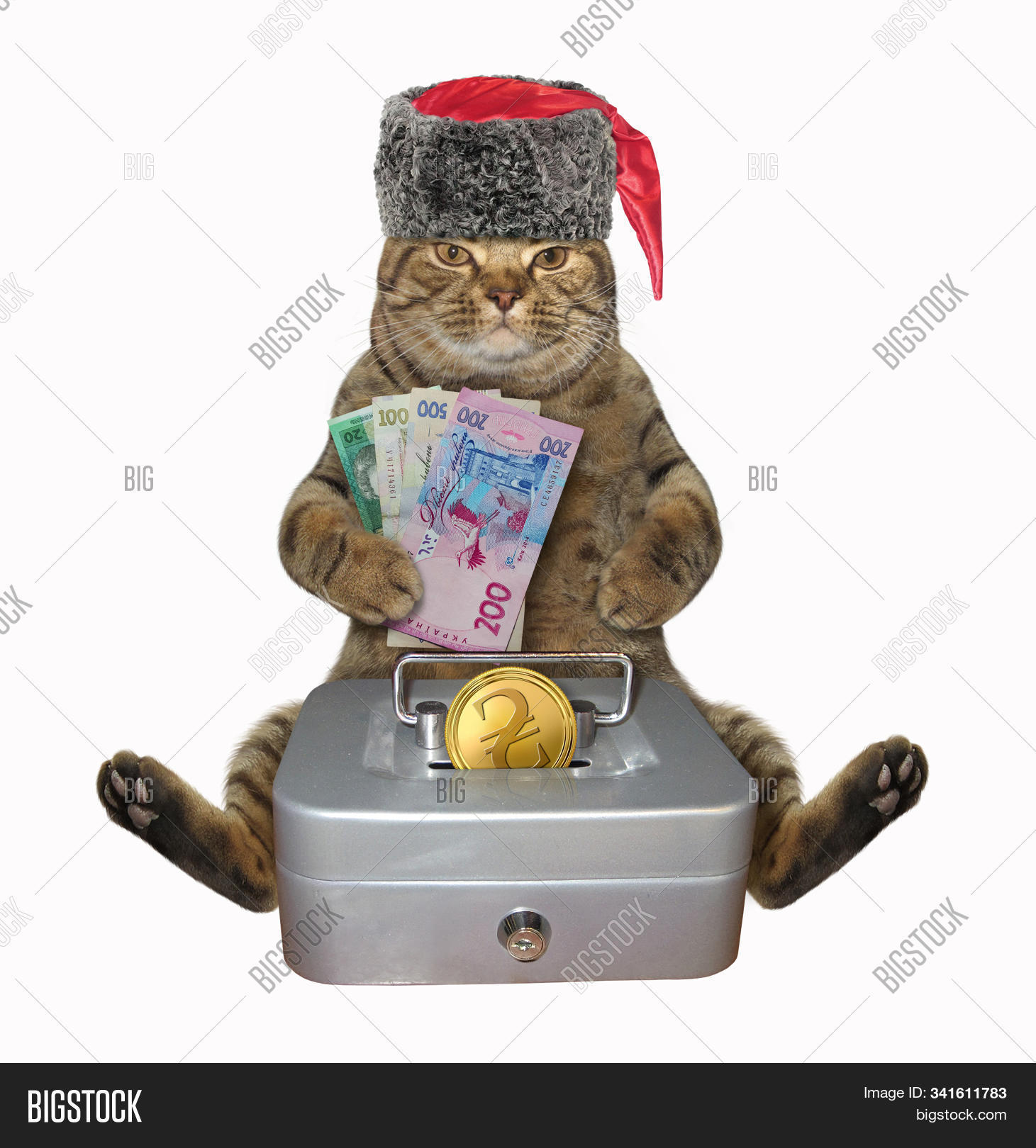 Beige Cat Banker Image & Photo (Free Trial) | Bigstock
