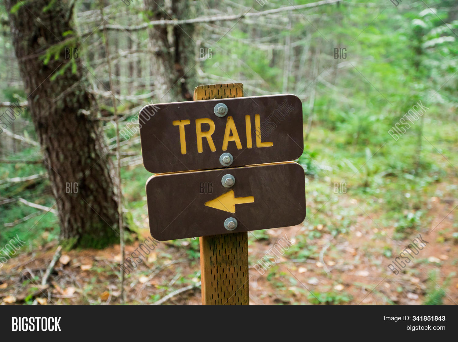 Hking Trail Sign Image & Photo (Free Trial) | Bigstock
