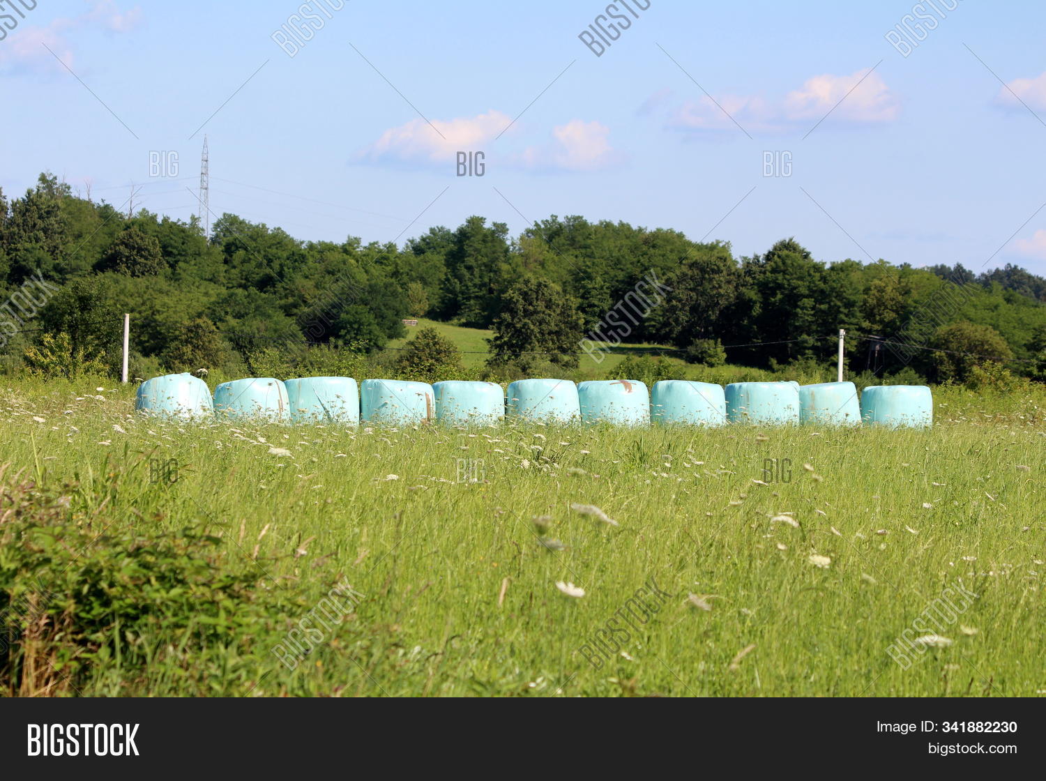 Row Hay Bales Wrapped Image & Photo (Free Trial) | Bigstock