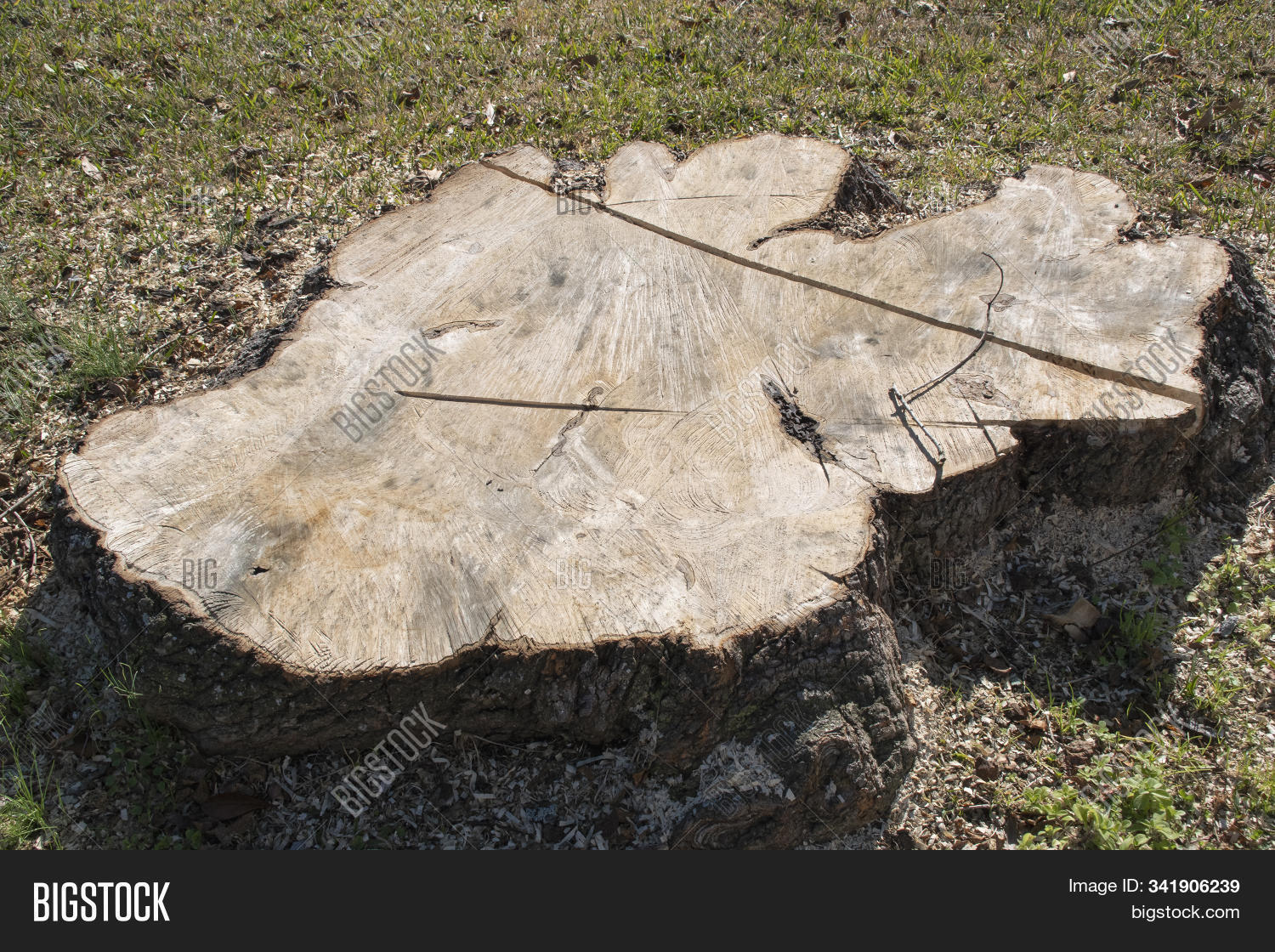 Lines Cut Marks Image & Photo (Free Trial) | Bigstock