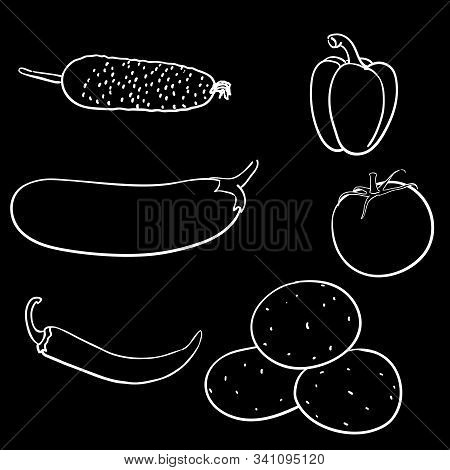 Vegetables On Black Vector & Photo (Free Trial) | Bigstock