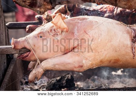 Head Roasted Pig, Image & Photo (Free Trial) | Bigstock