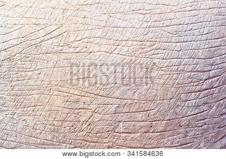 Rough Scratch Cement Image & Photo (Free Trial) | Bigstock