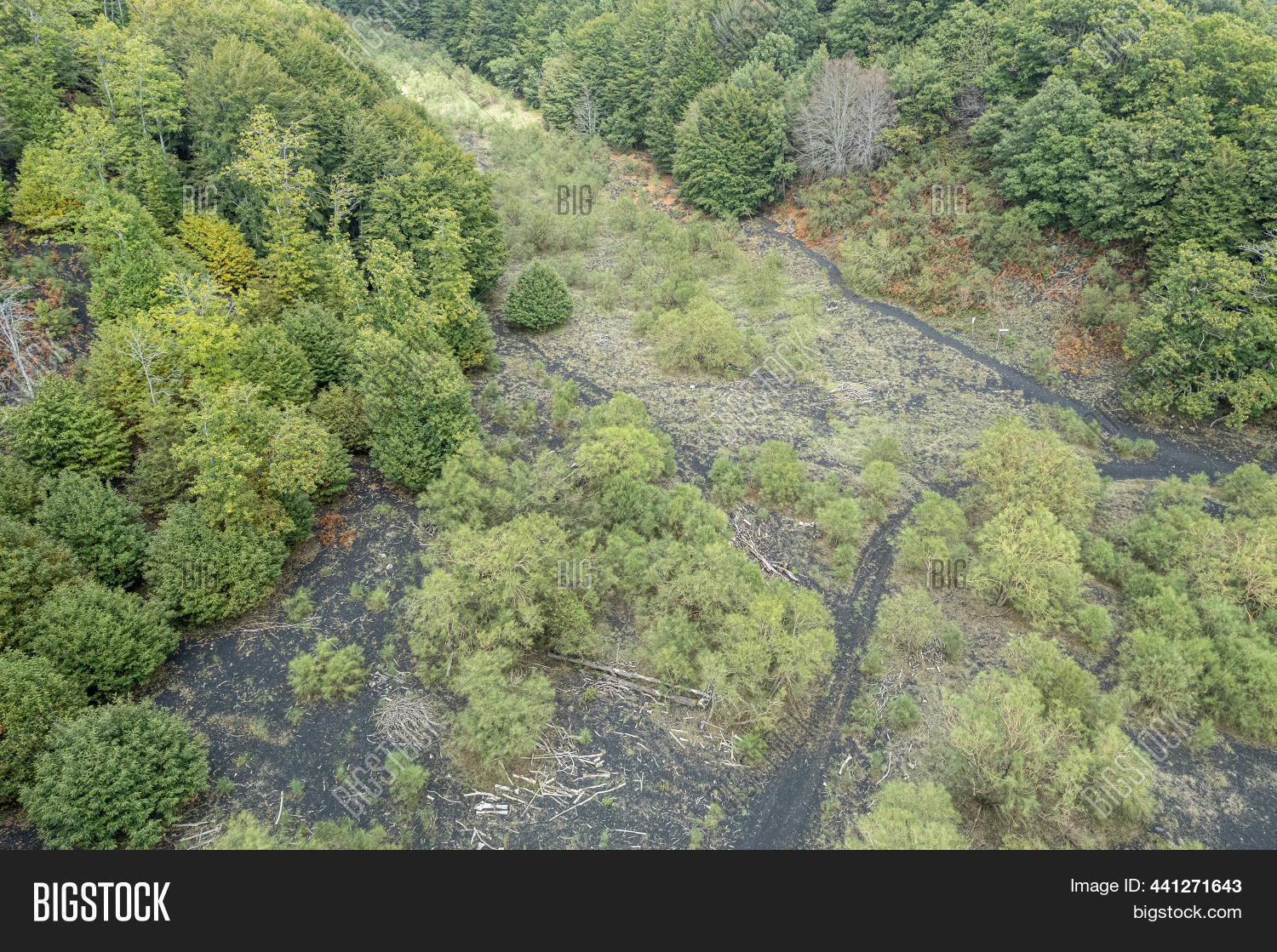 Aerial Views Woods Image & Photo (Free Trial) | Bigstock