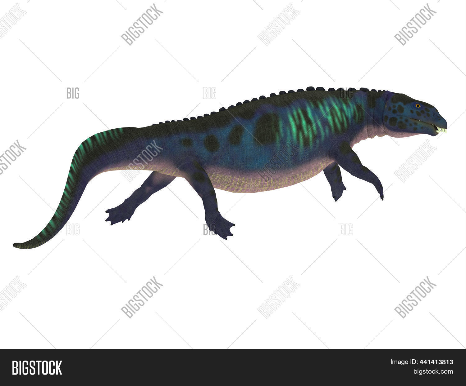 Placodus Triassic Image & Photo (Free Trial) | Bigstock