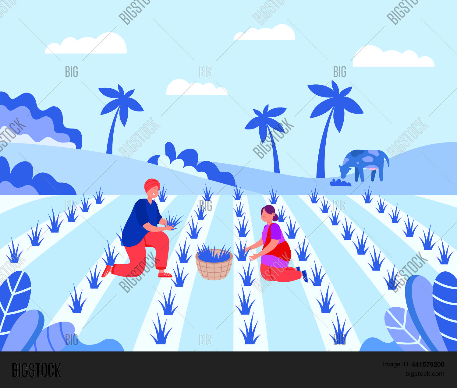 indian farmer vector