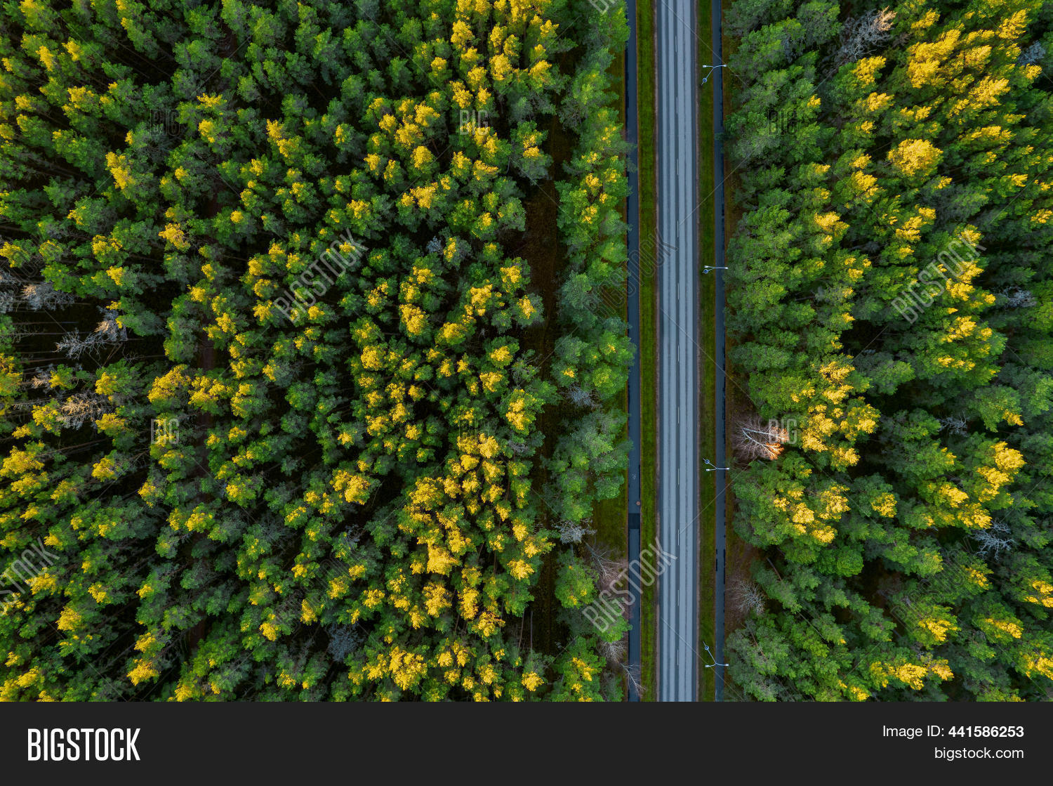 Aerial View Drone Image & Photo (Free Trial) | Bigstock