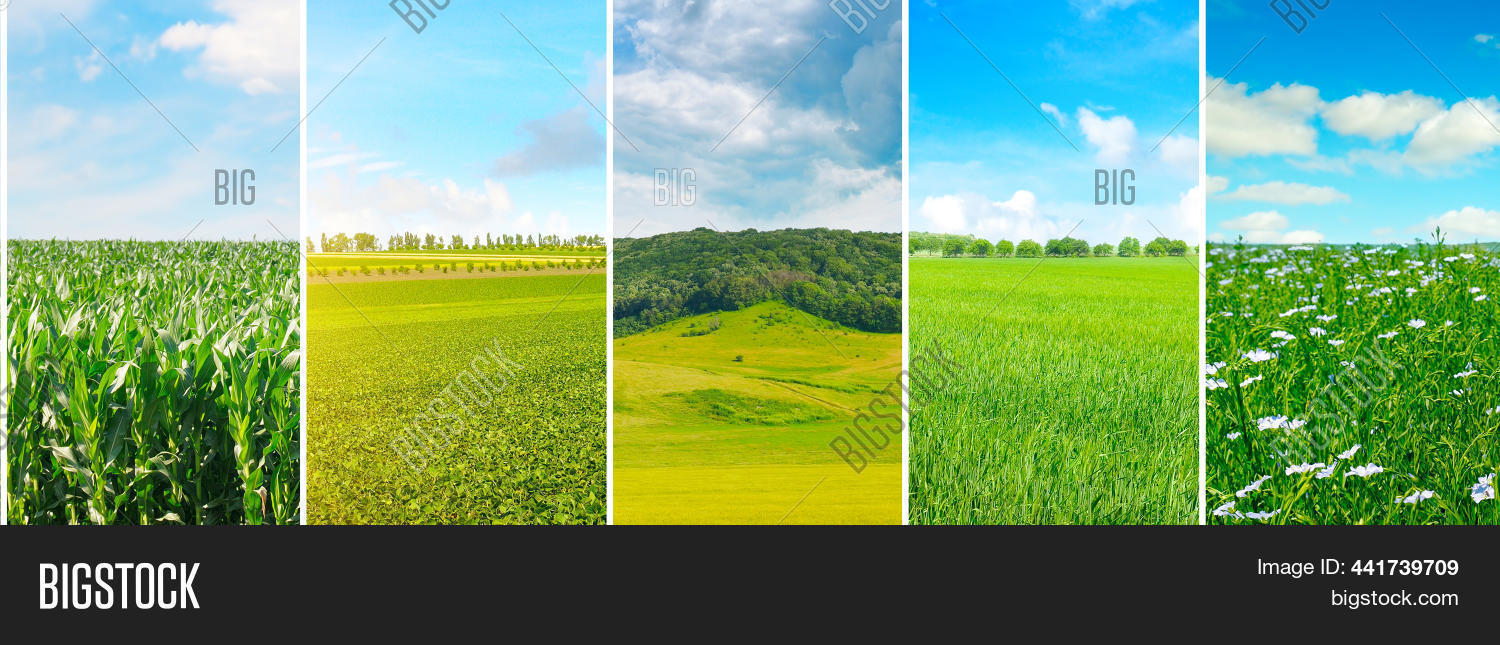 Panoramic View Green Image & Photo (Free Trial) | Bigstock