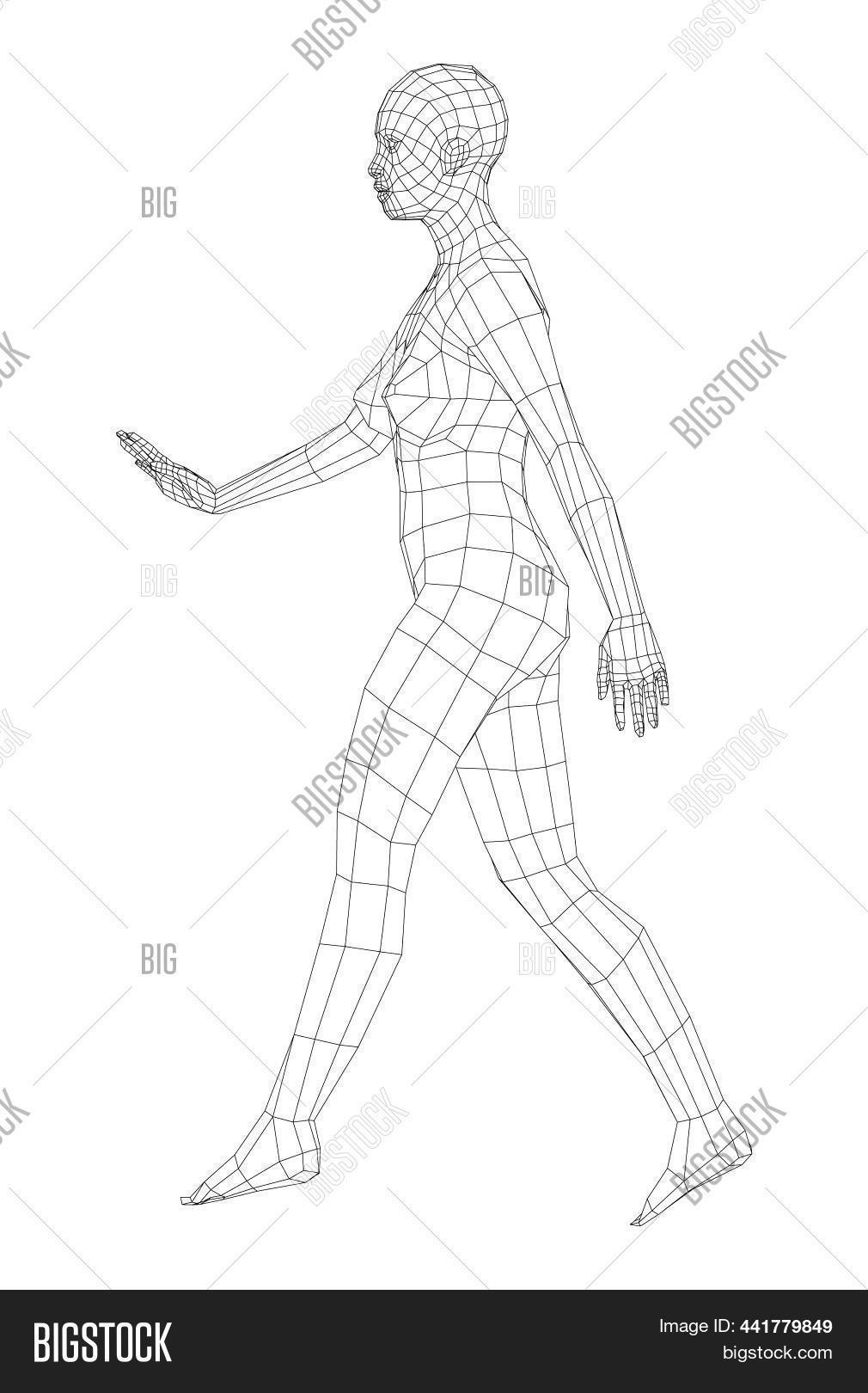 Wireframe Walking Image & Photo (Free Trial) | Bigstock