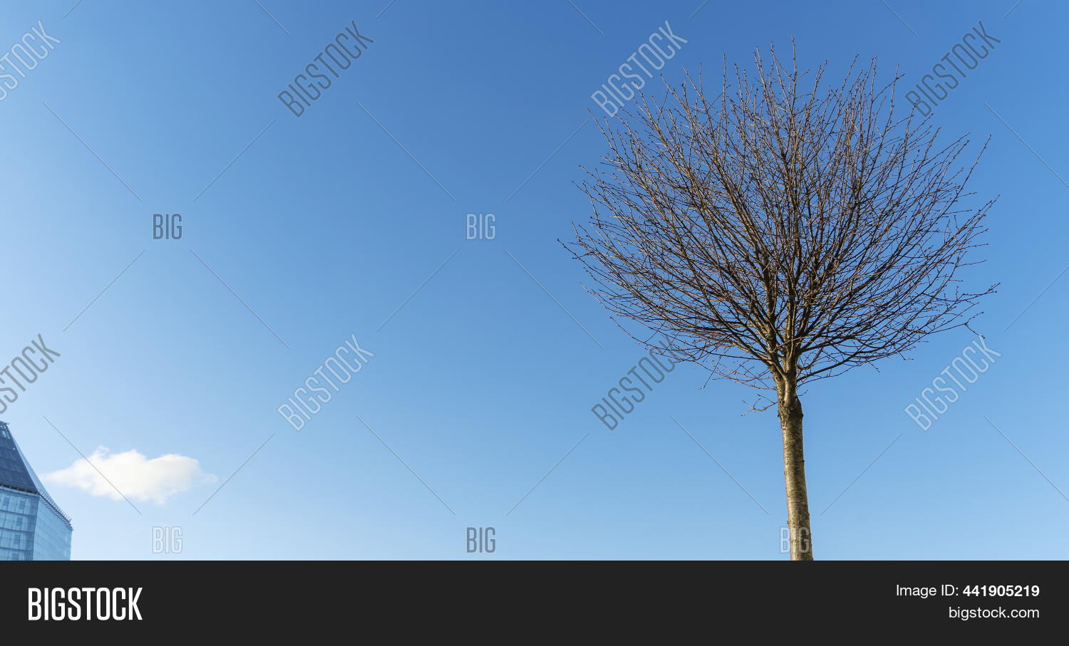 Round Crowns Image & Photo (Free Trial) | Bigstock