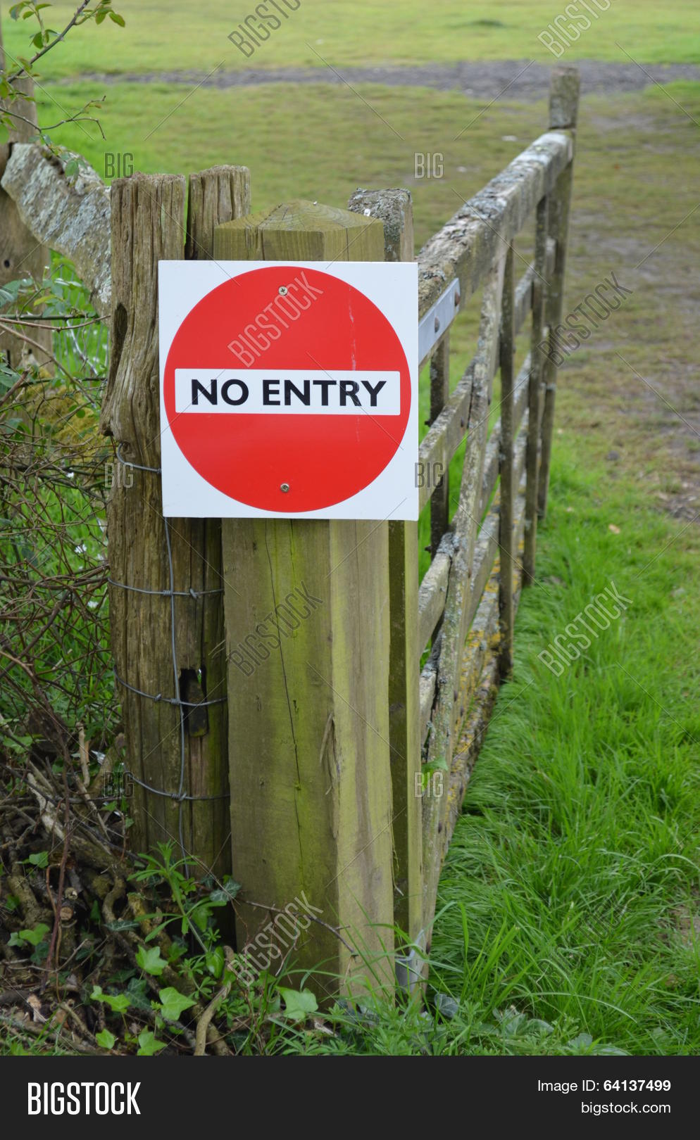 No Entry Sign Image & Photo (Free Trial) | Bigstock