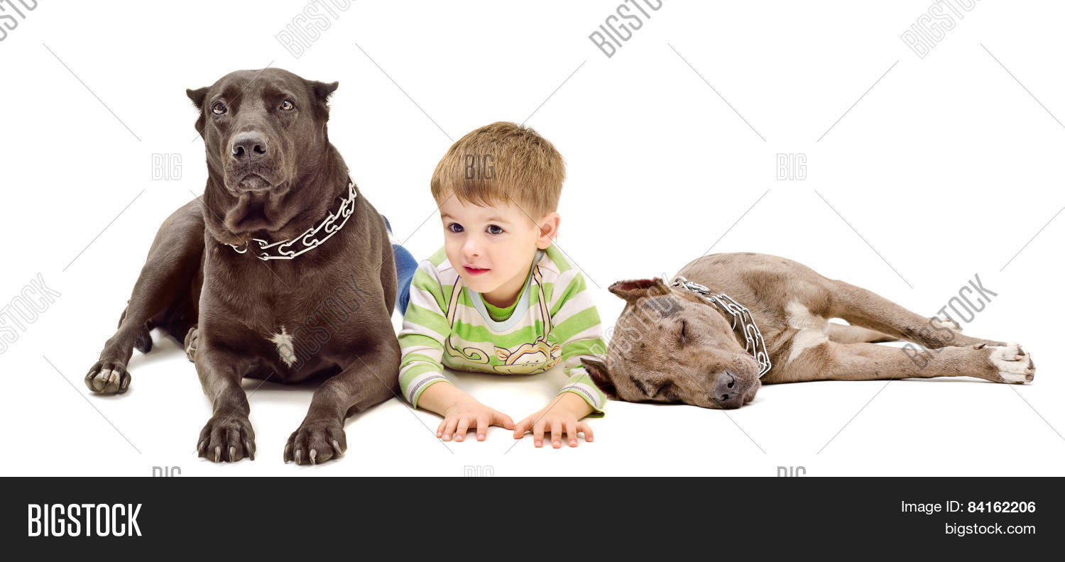 Cute Boy Two Dogs Image & Photo (Free Trial) | Bigstock