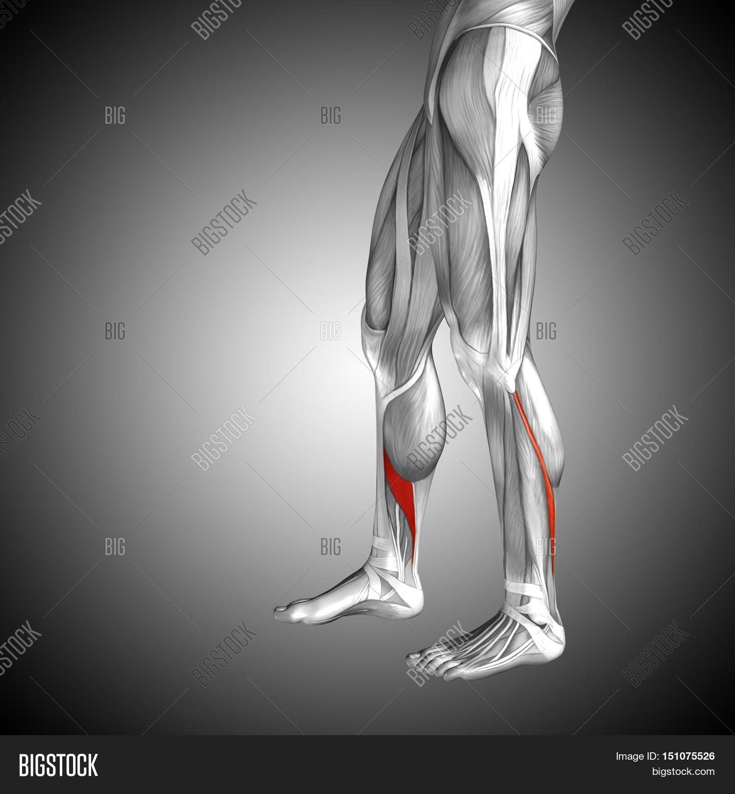 Concept Conceptual 3d Image And Photo Free Trial Bigstock