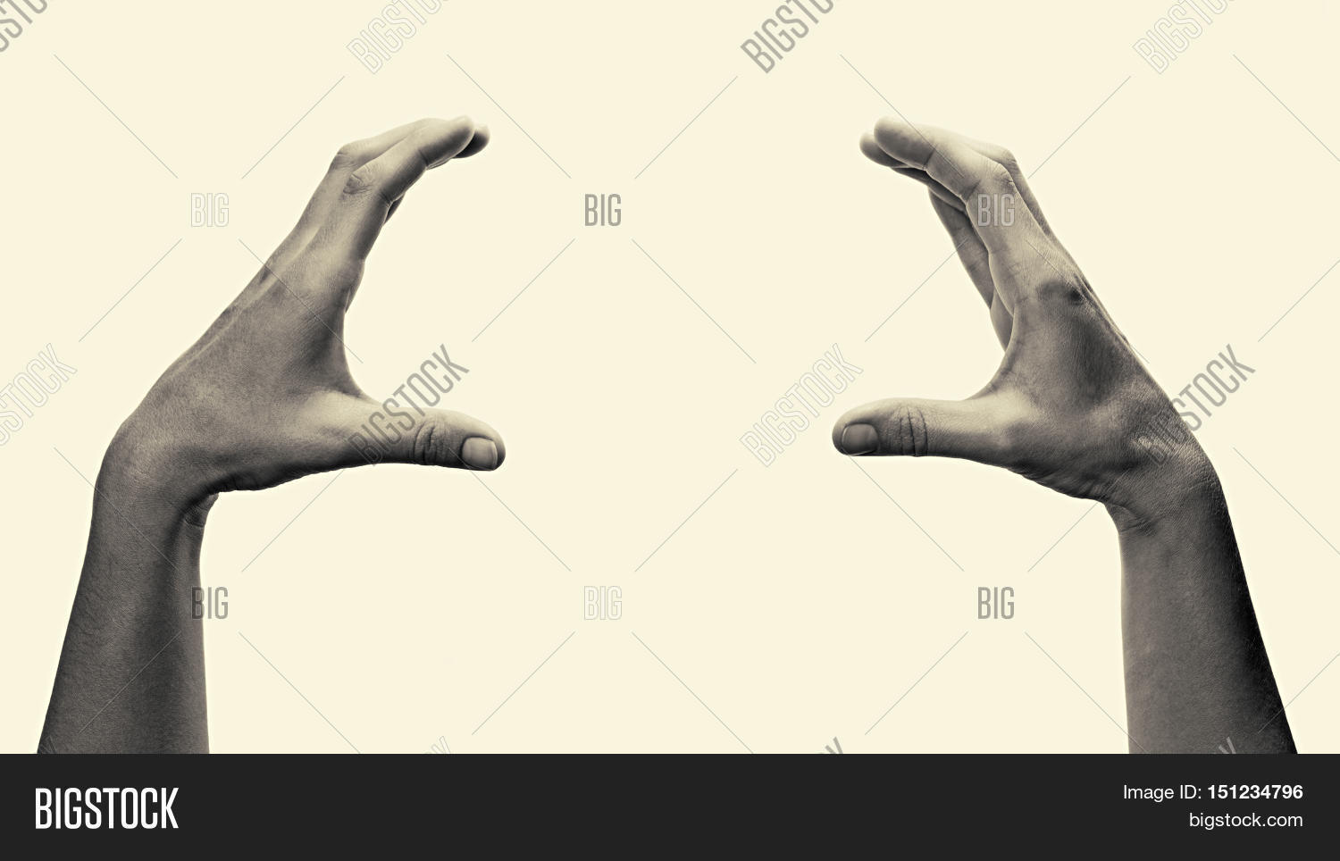 Two Hands Hold Your Image & Photo (Free Trial) | Bigstock