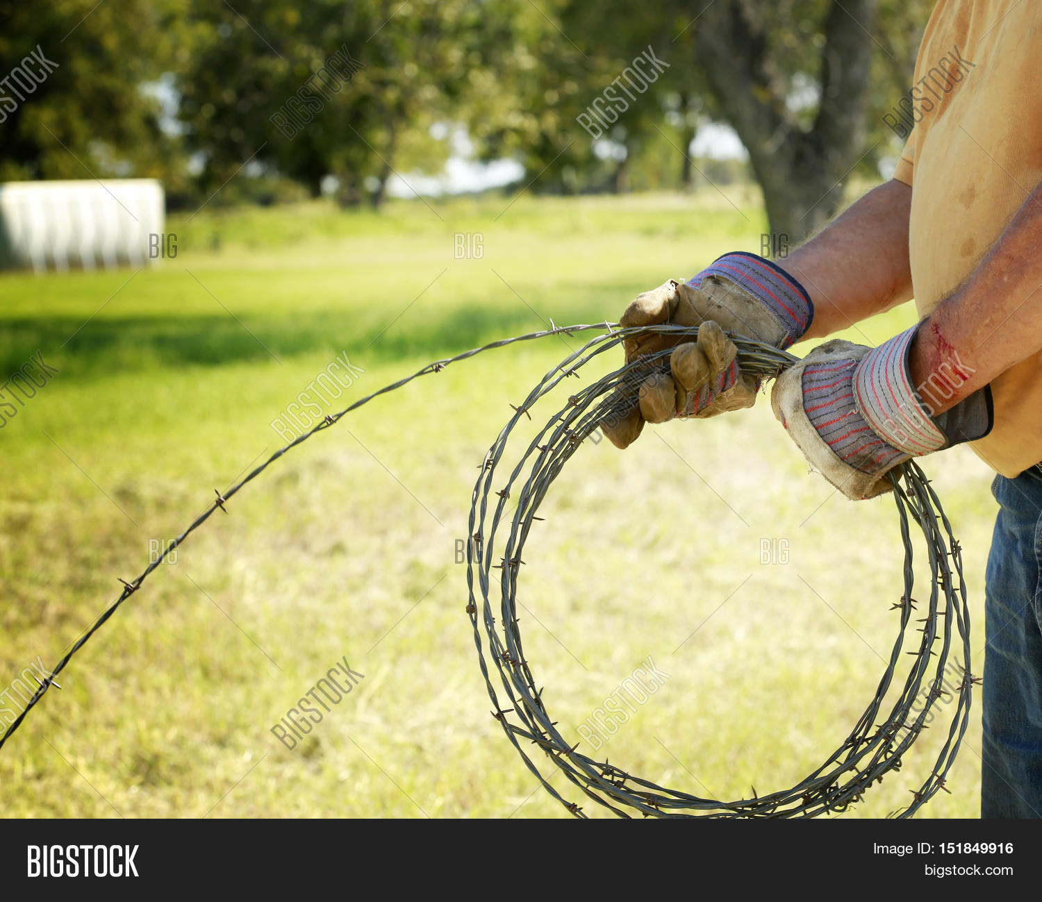Fencing Safety: Man's Image & Photo (Free Trial) | Bigstock