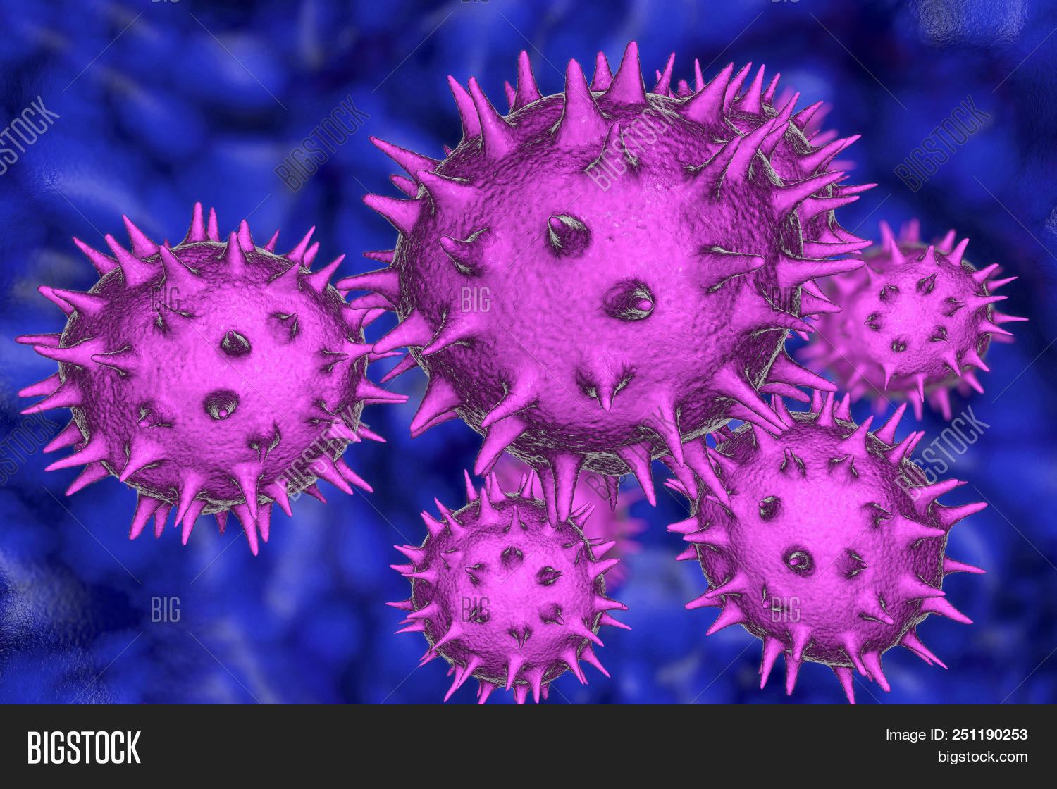 Pollen Grains Hibiscus Image & Photo (Free Trial) | Bigstock
