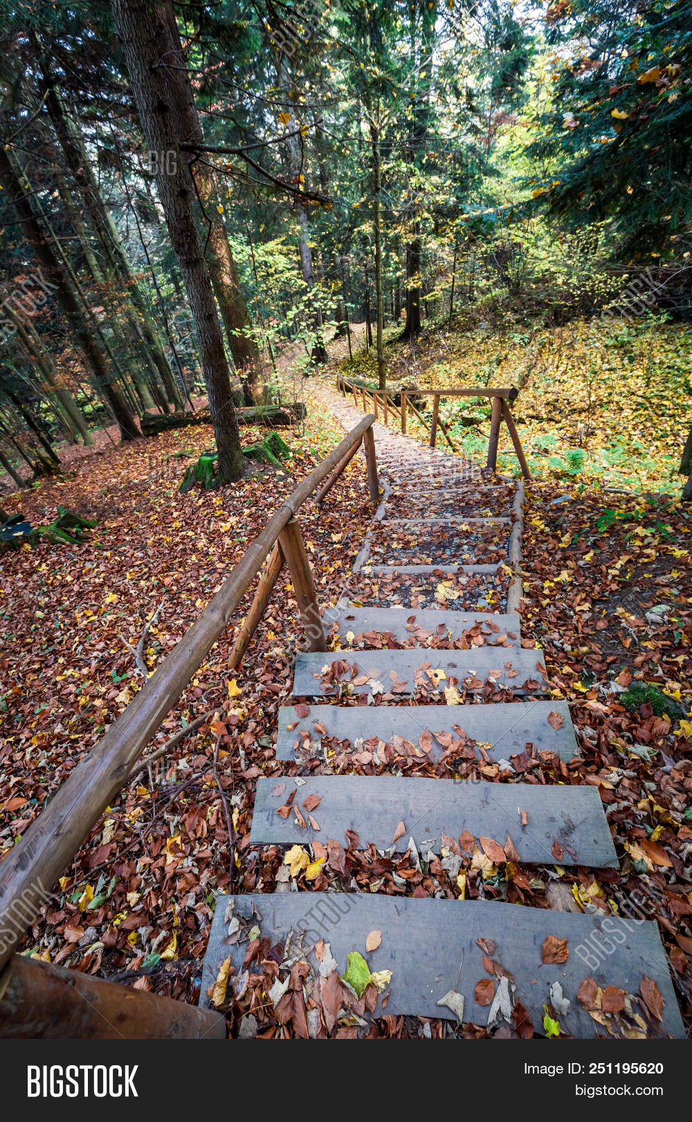 Leafy Path Sokolica Image & Photo (Free Trial) | Bigstock