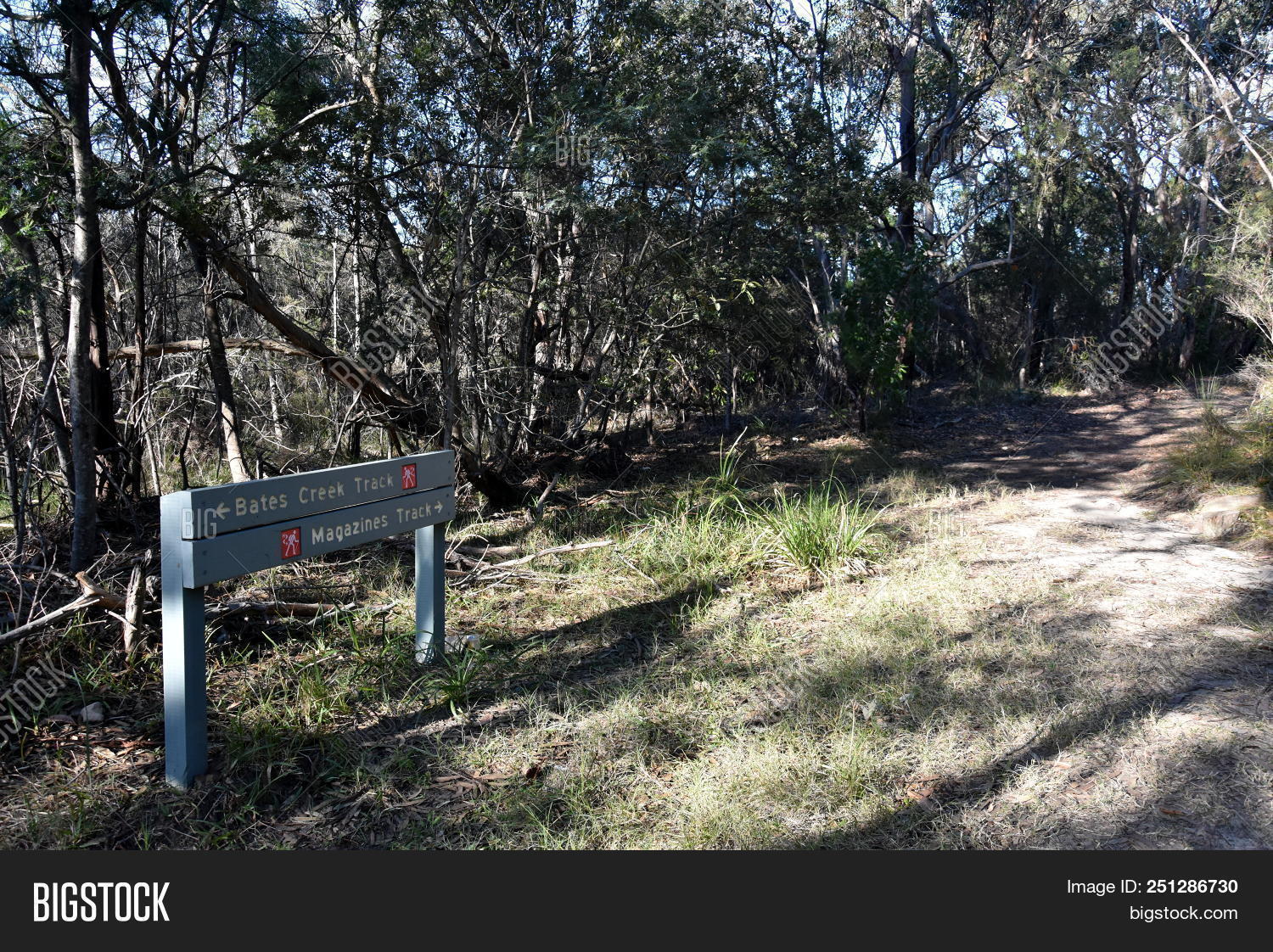 Bushwalking Track Image & Photo (Free Trial) | Bigstock