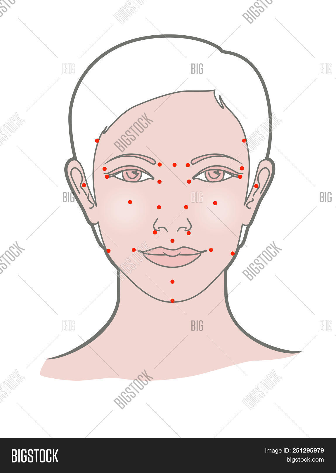 Shiatsu Points Face Image & Photo (Free Trial) | Bigstock