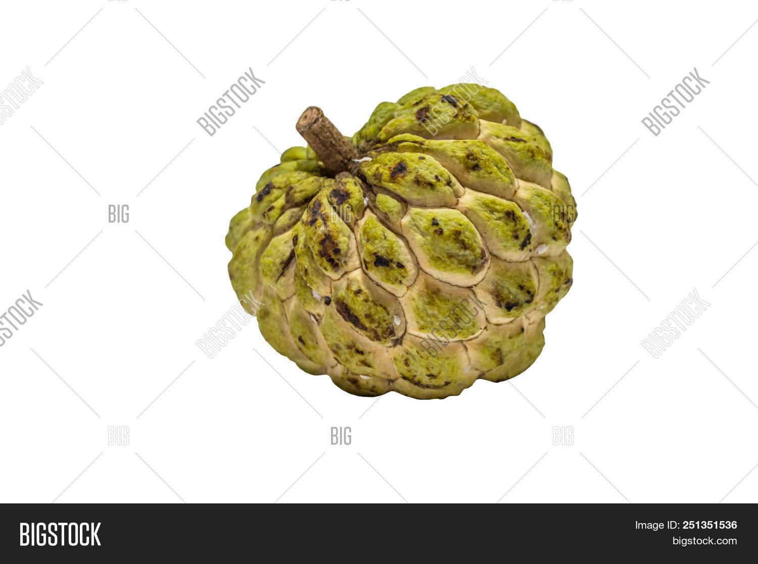 Custard Apple Isolated Image & Photo (Free Trial) | Bigstock