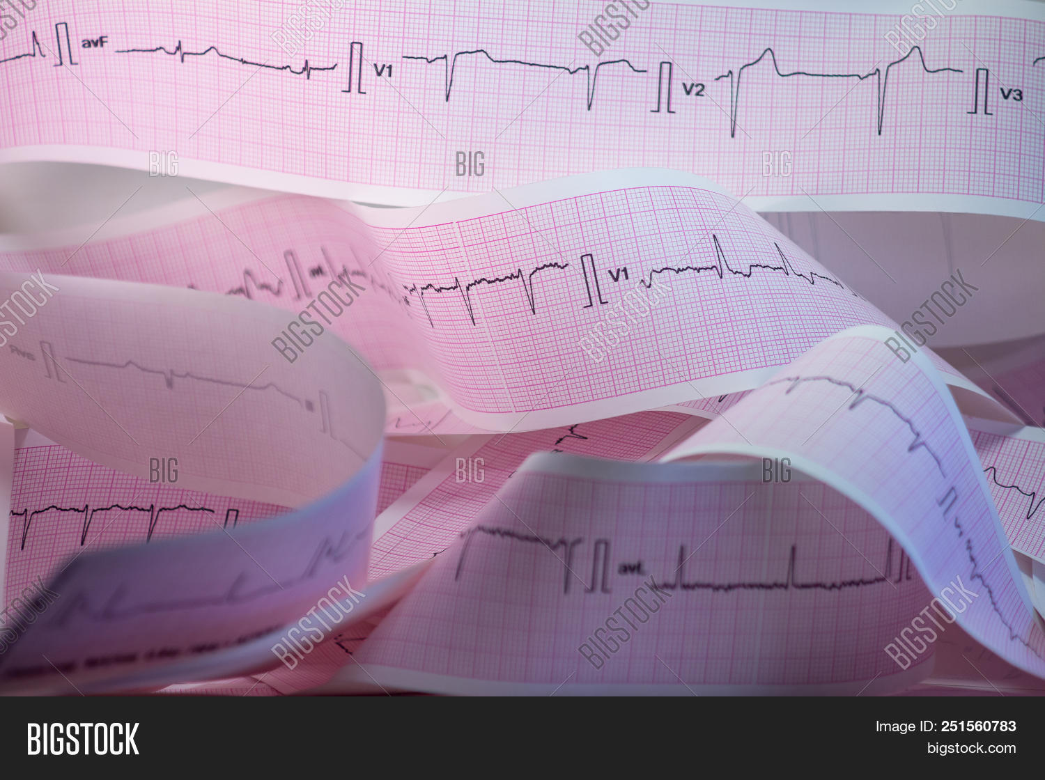 Strip Image & Photo (Free Trial) | Bigstock