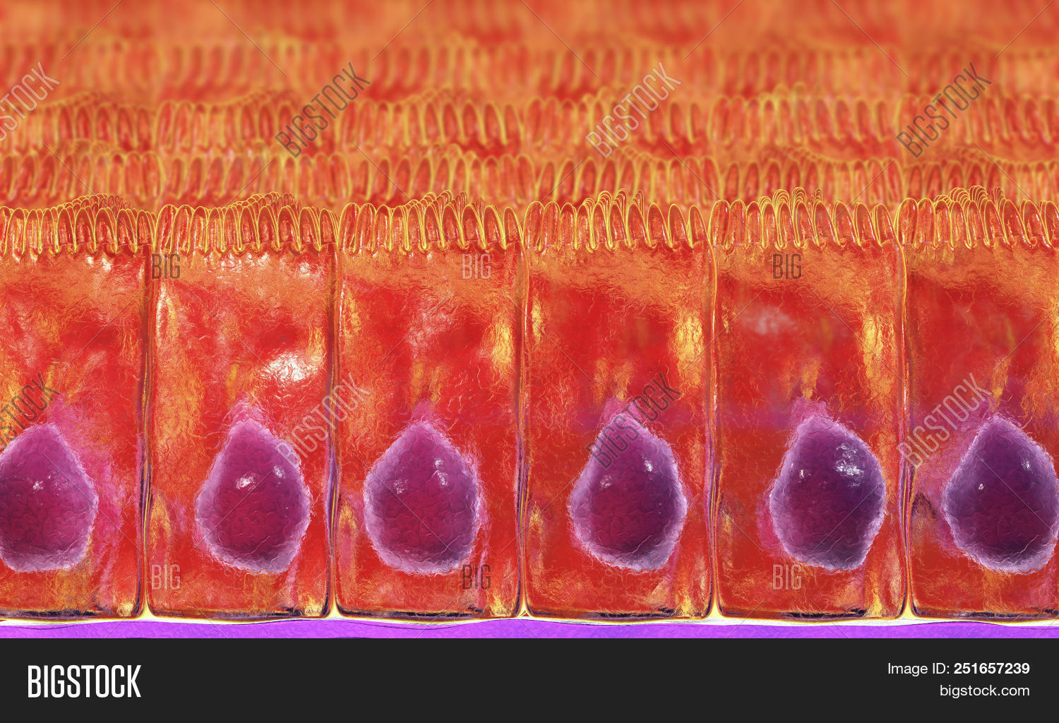 Simple Columnar Image & Photo (Free Trial) | Bigstock