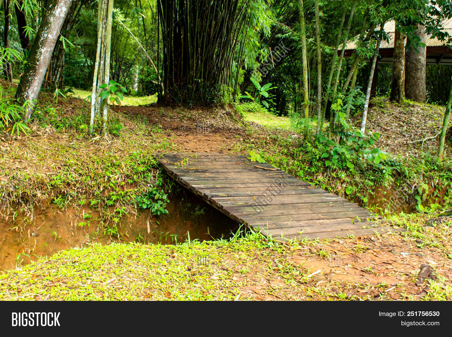 Wooden Bridge Crossing Image & Photo (Free Trial) | Bigstock