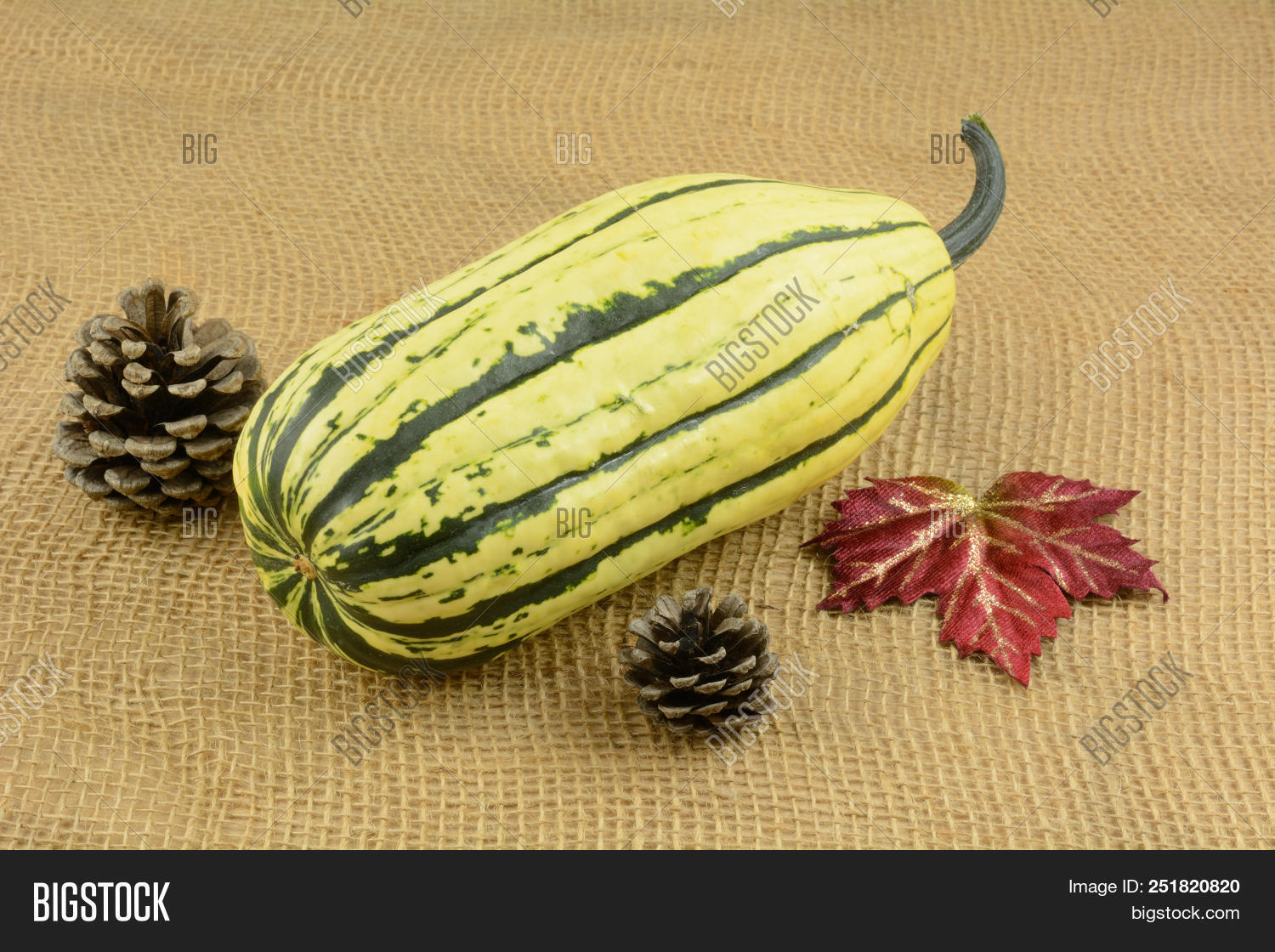 Raw Whole Delicata Image & Photo (Free Trial) | Bigstock