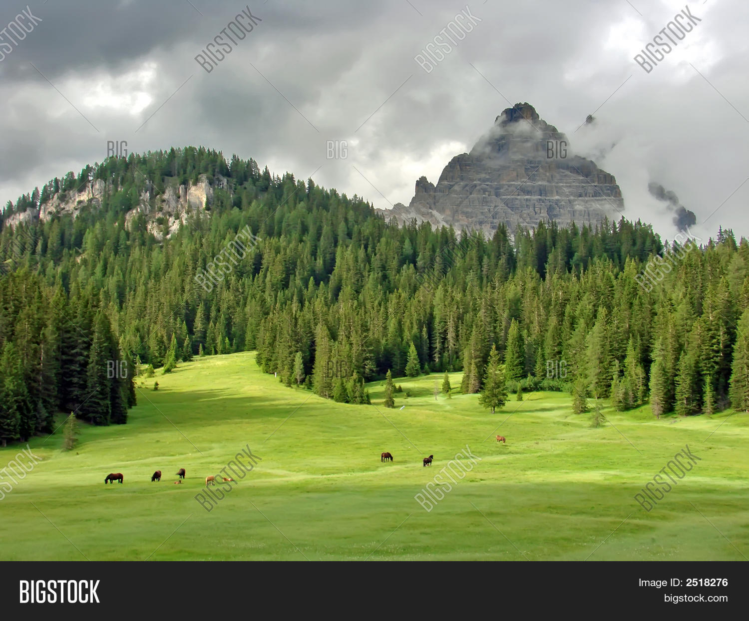 Mountains Grassland Image & Photo (Free Trial) | Bigstock