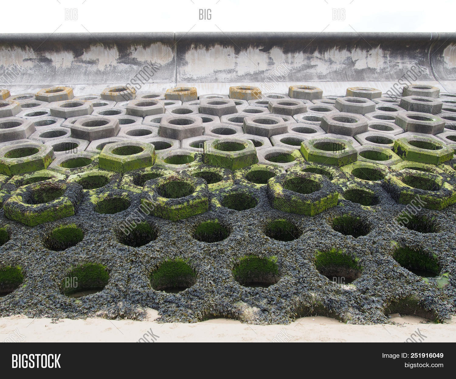 Concrete Defensive Sea Image & Photo (Free Trial) | Bigstock