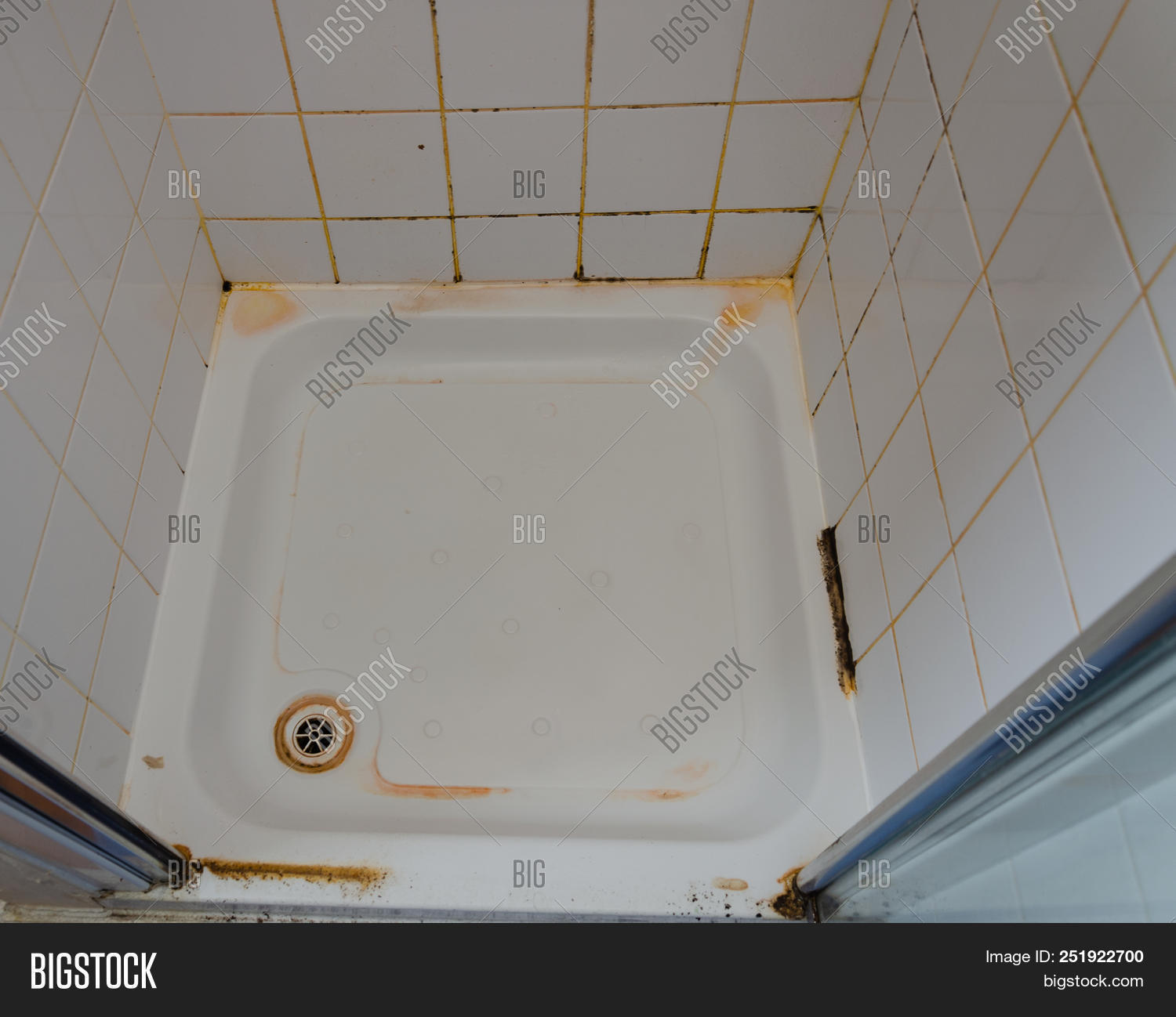 Dirty Mould Covered Image & Photo (Free Trial) | Bigstock
