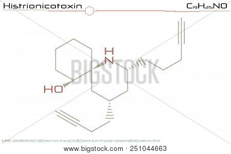 Large Detailed Vector & Photo (Free Trial) | Bigstock