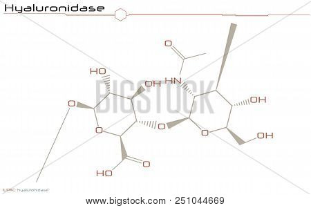 Large Detailed Vector & Photo (Free Trial) | Bigstock