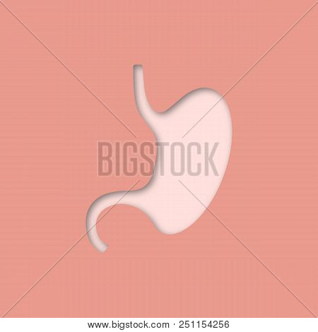 Stomach Paper Cut Out Vector & Photo (Free Trial) | Bigstock