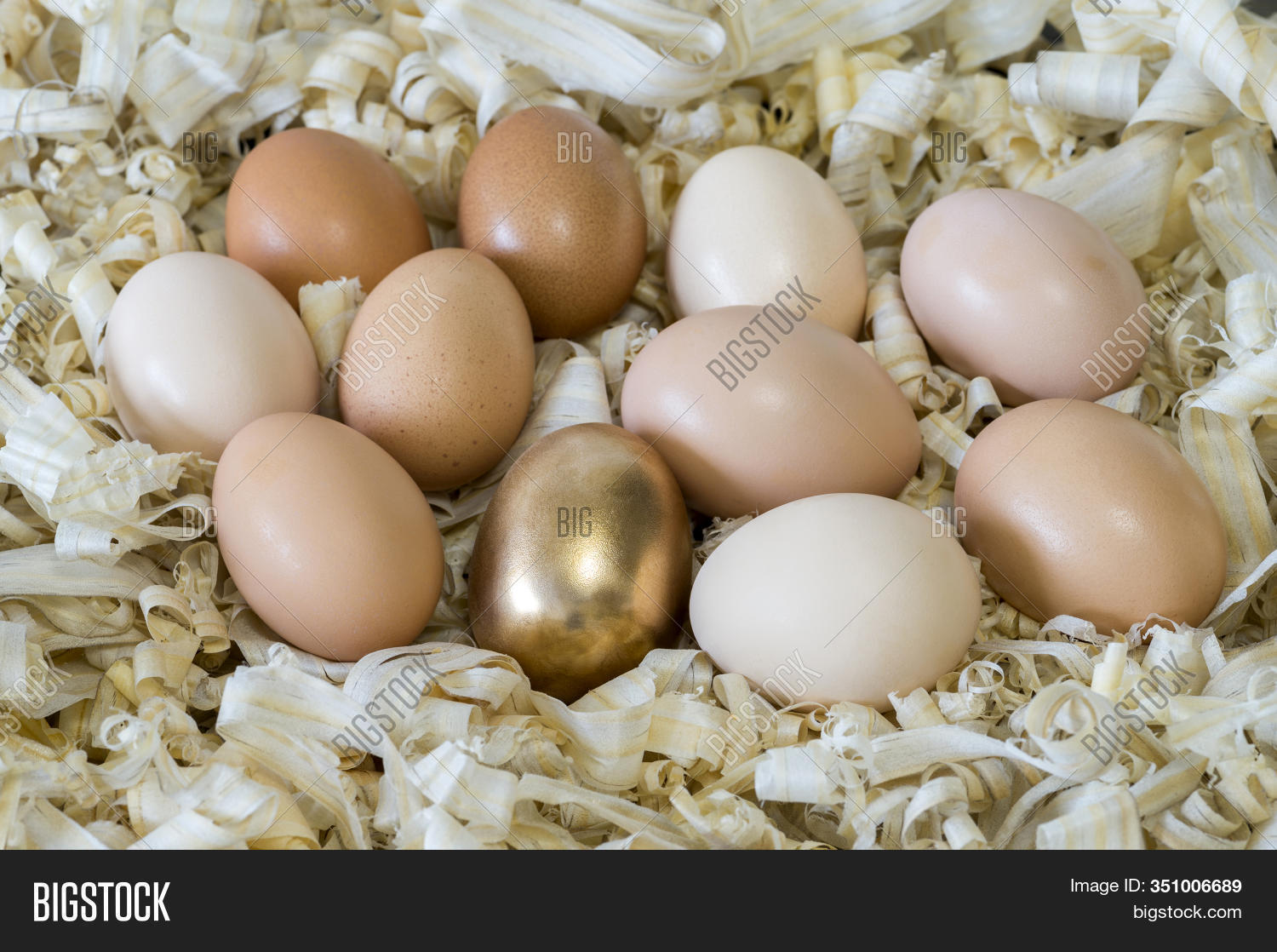 Golden Metal Egg Among Image & Photo (Free Trial) | Bigstock