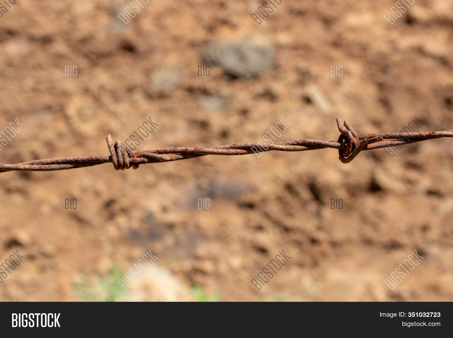 Single Line Barbed Image & Photo (Free Trial) | Bigstock