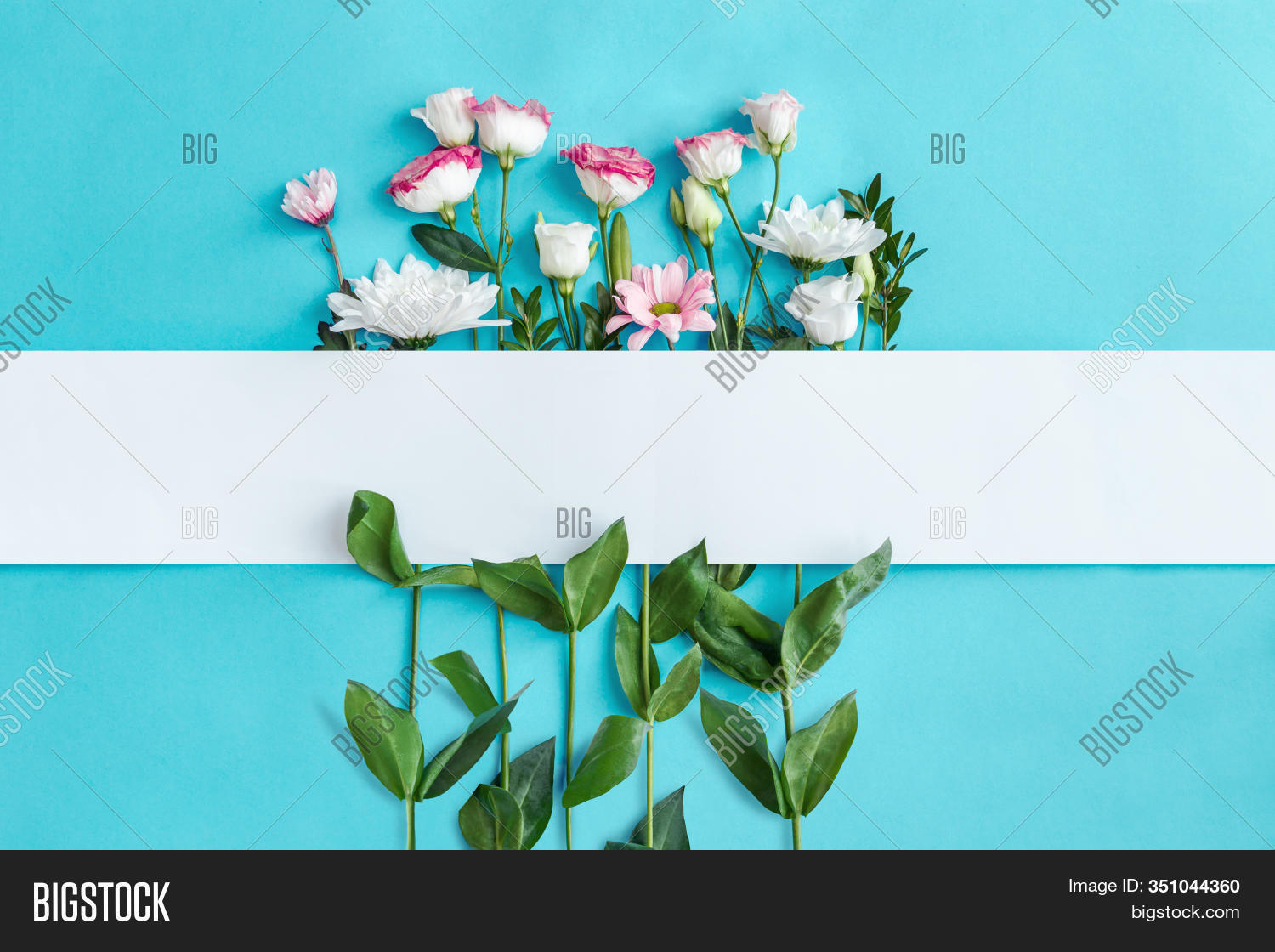 Blank Oblong Sheet Image & Photo (Free Trial) | Bigstock