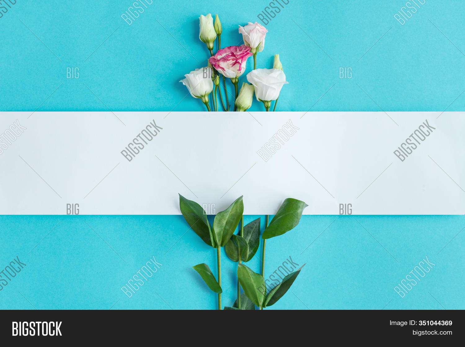 Blank Oblong Sheet Image & Photo (Free Trial) | Bigstock