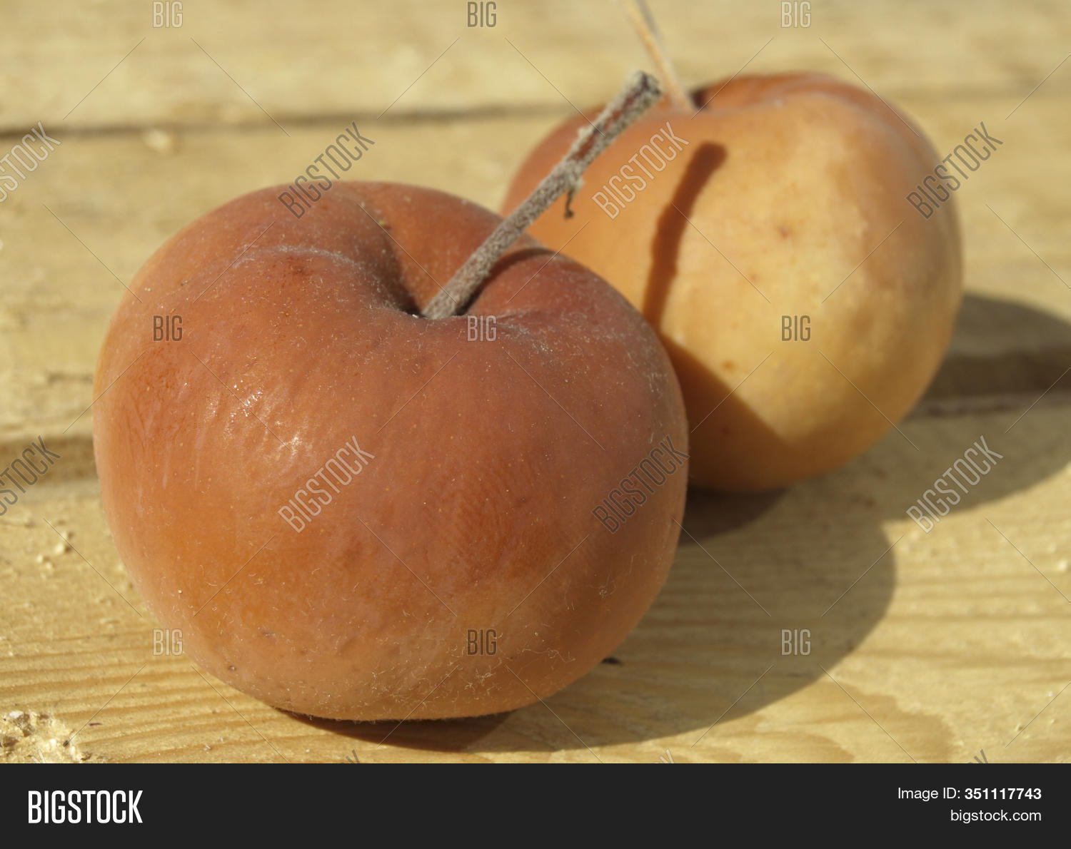 Two Rotten Apples On Image & Photo (Free Trial) | Bigstock