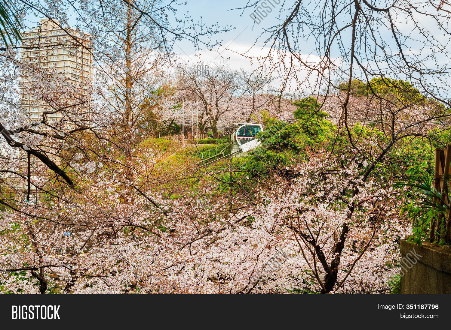 Tokyo, Japan - March Image & Photo (Free Trial) | Bigstock