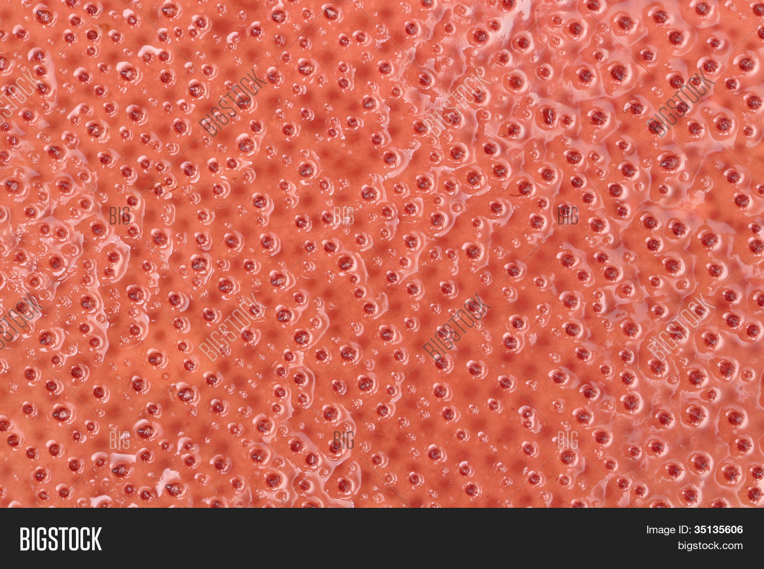 Red Algae Image & Photo (Free Trial) | Bigstock