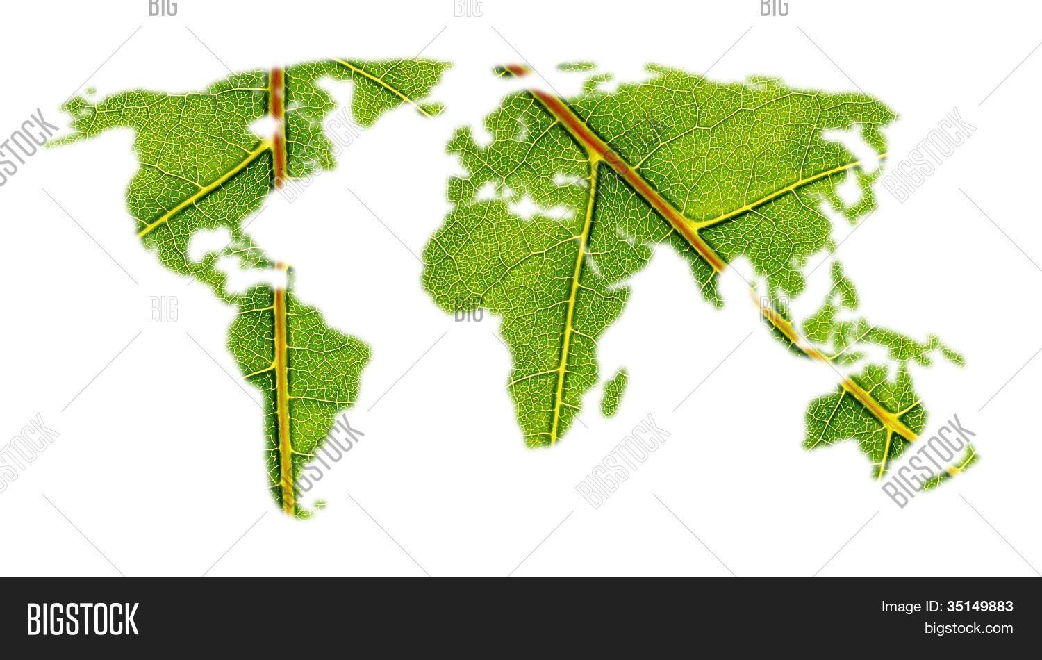 World Map Leaf Texture Image & Photo (Free Trial) | Bigstock