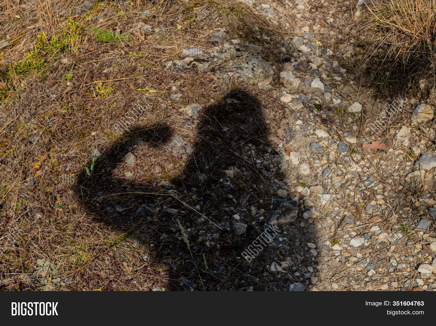 Shadow Strong Young Image & Photo (Free Trial) | Bigstock