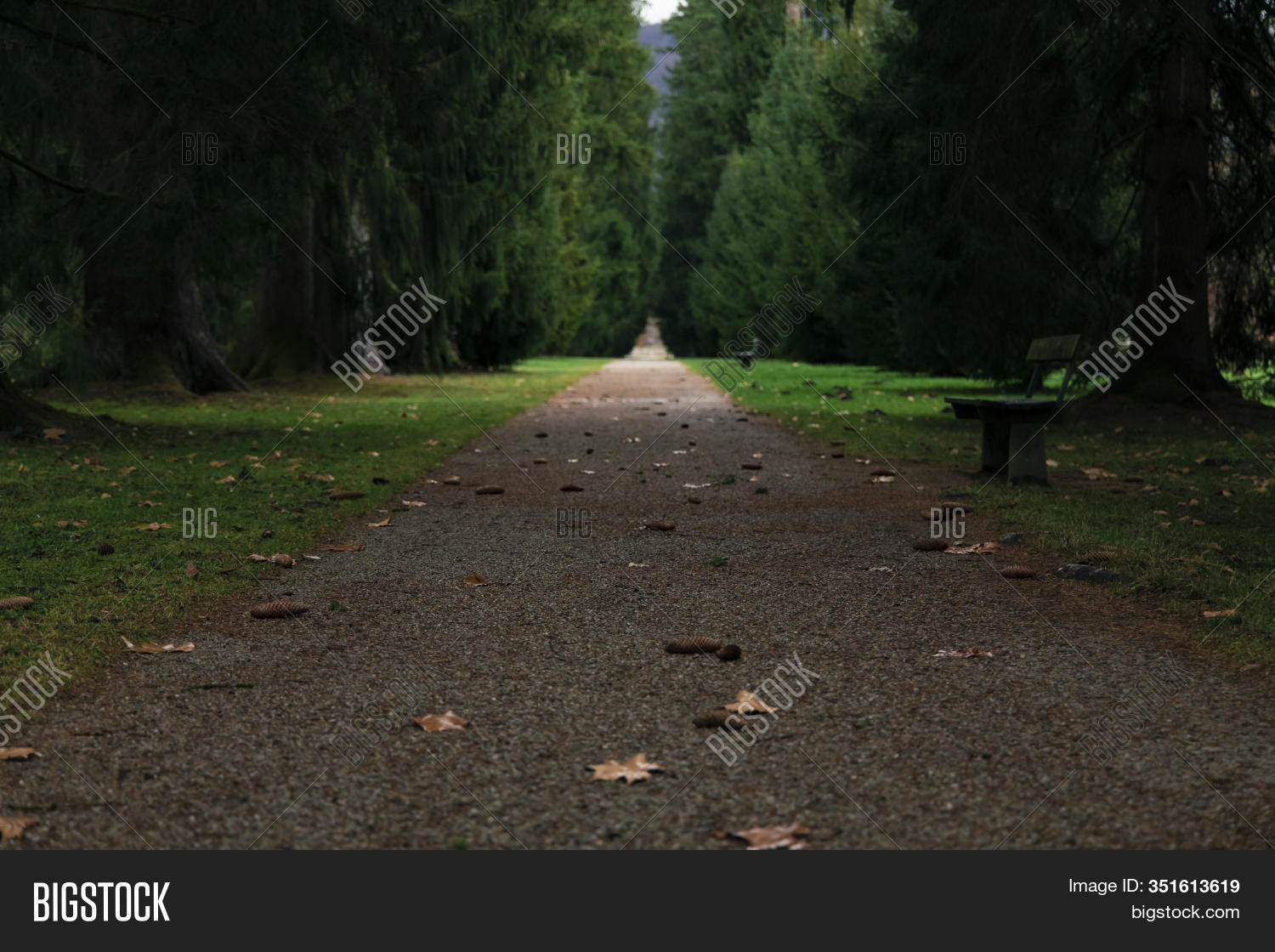 Park Outdoor Trail Image & Photo (Free Trial) | Bigstock