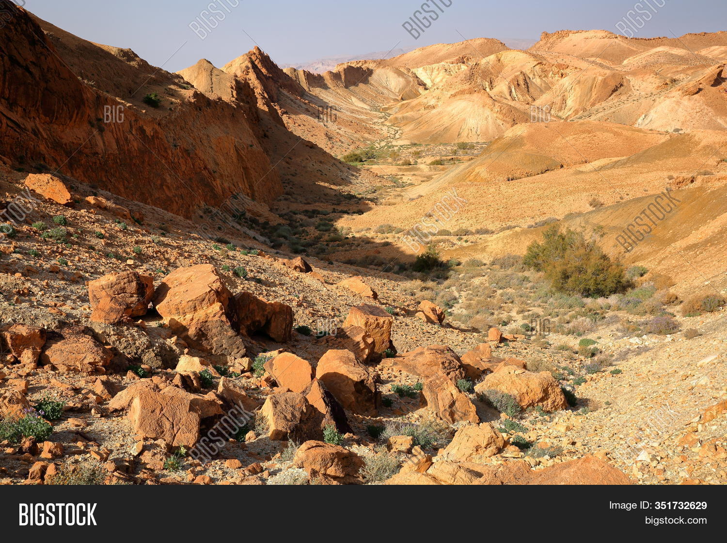 Desert Mineral Image & Photo (Free Trial) | Bigstock
