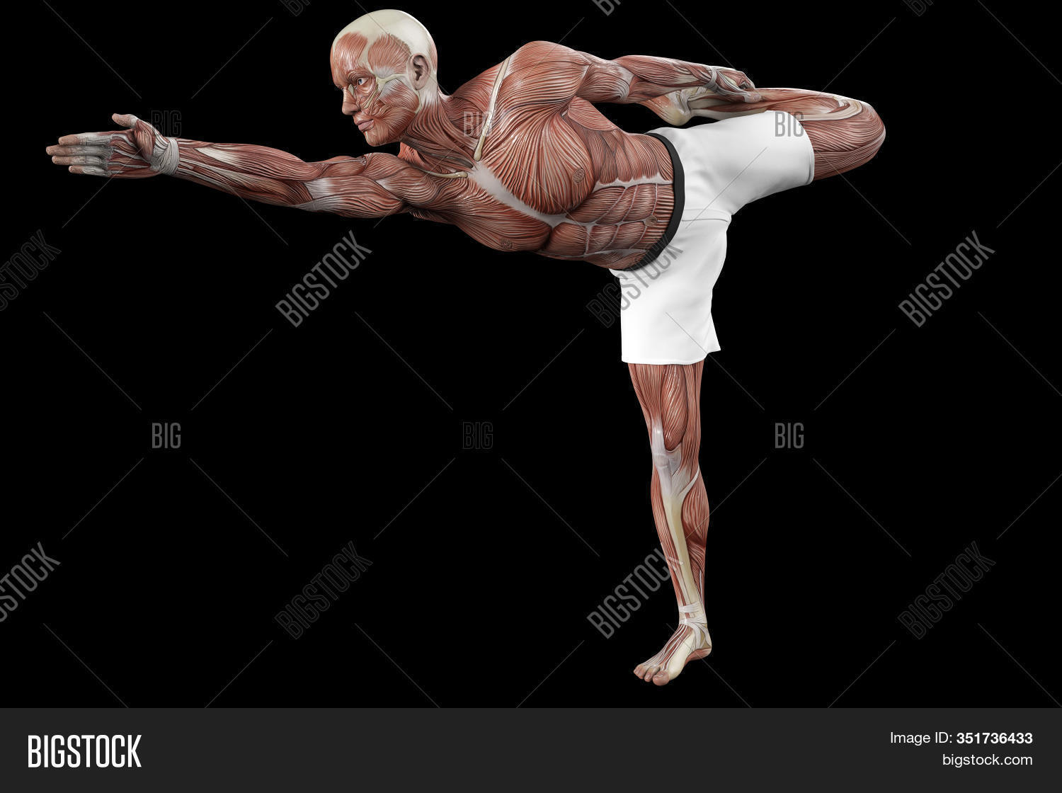 Muscular Manin Defense Image & Photo (Free Trial) | Bigstock