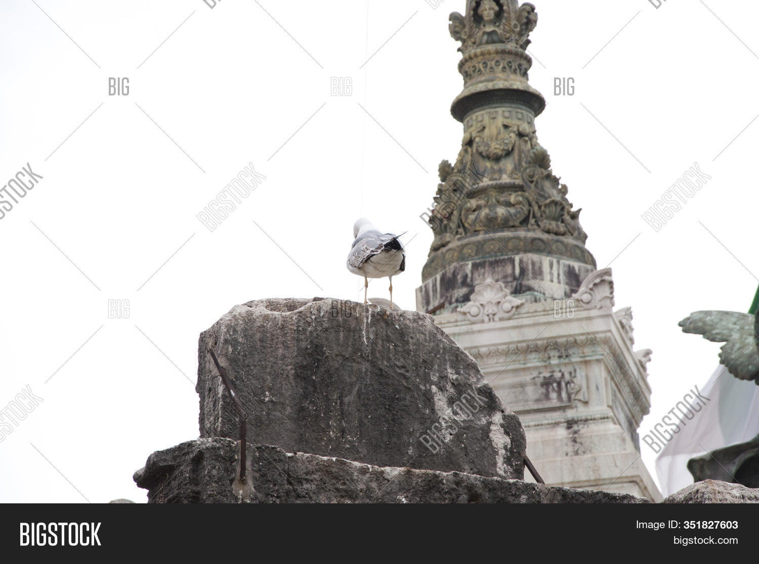 Wildlife Architecture Image & Photo (Free Trial) | Bigstock