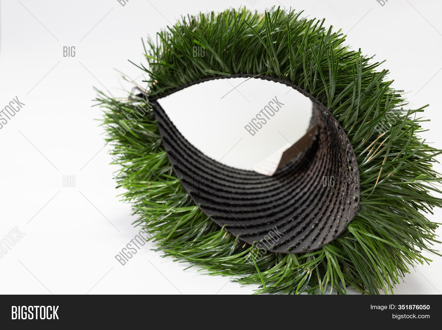 Piece Grass Isolated Image & Photo (Free Trial) | Bigstock