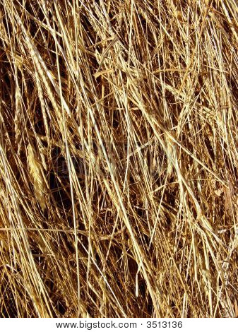 Hay Image & Photo (Free Trial) | Bigstock
